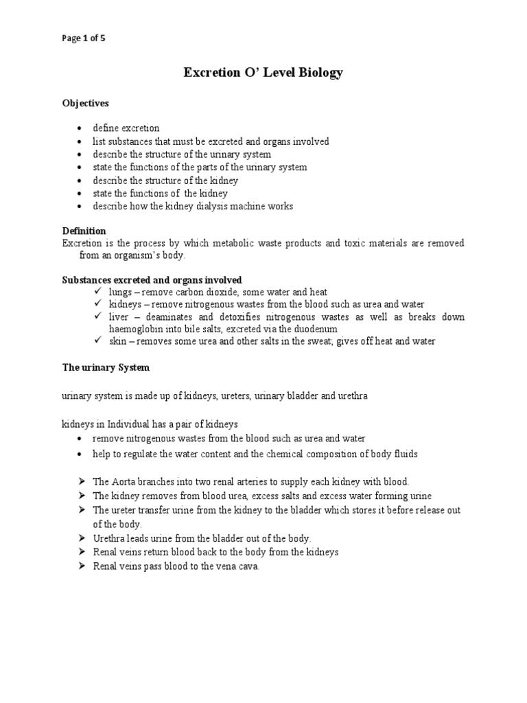 Excretion O' Level Biology | PDF | Kidney | Urinary System