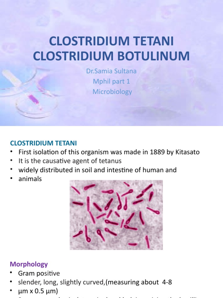 Analysis of Clostridium Tetani and its Characteristics as the Causative ...