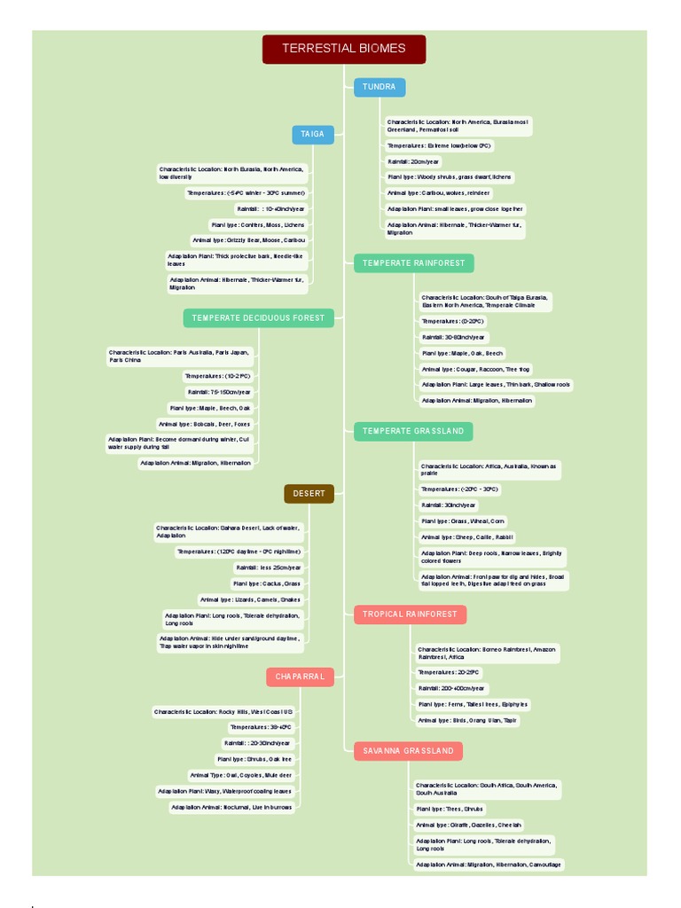 Bio330 Terrestial Biomes Mind Map | PDF | Biogeography | Ecology