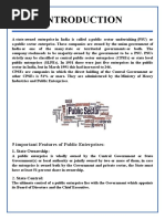 Business Studies Isc Final Project | PDF | Electronic Business | E Commerce