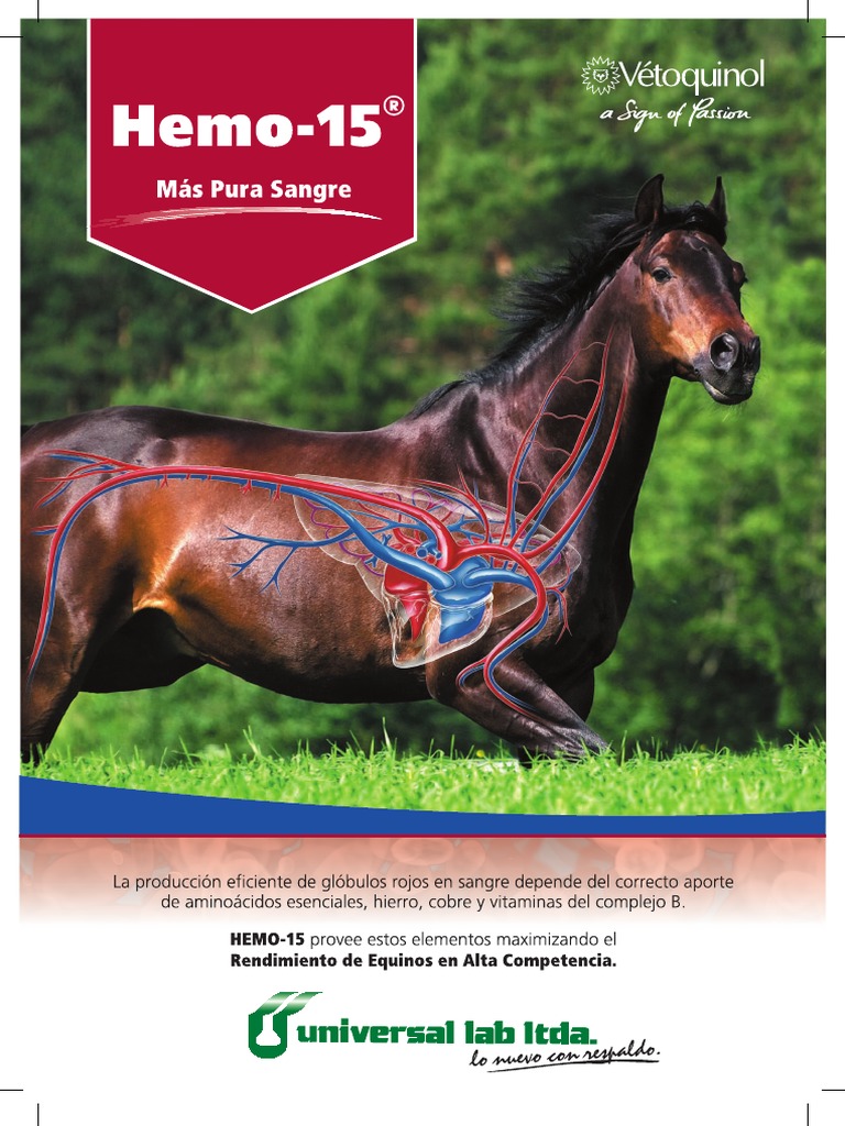 Folleto Equino Hemo 15 PDF | PDF