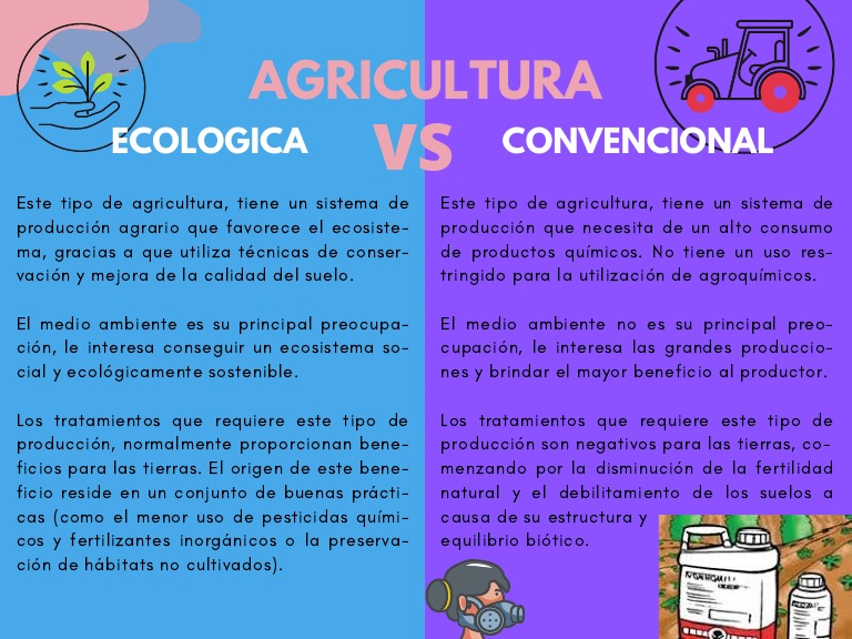 Agricultura Convencional Vs Ecológica | PDF