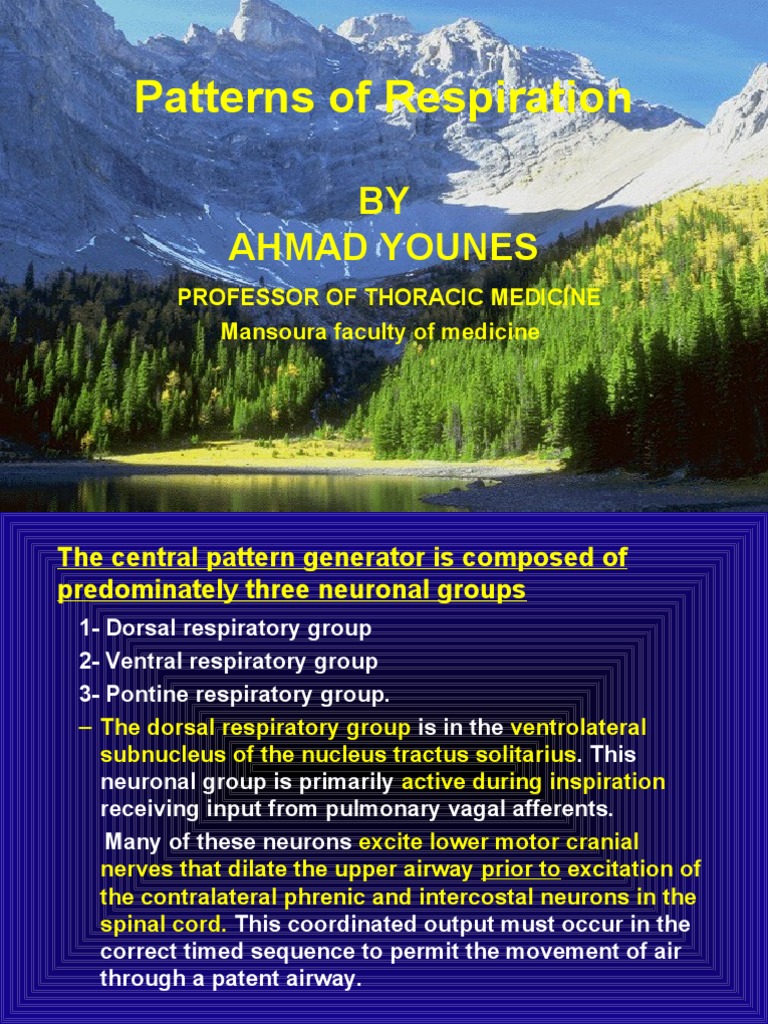 Patterns of Respiration | PDF | Breathing | Animal Physiology