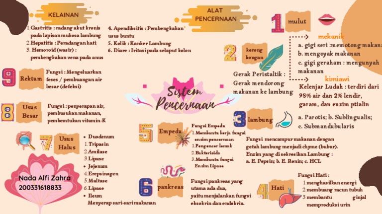 Mind Map Biologi Sistem Pencernaan | PDF