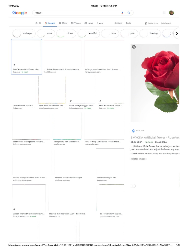 Flower Google search results overview | PDF | Floristry | Flowers