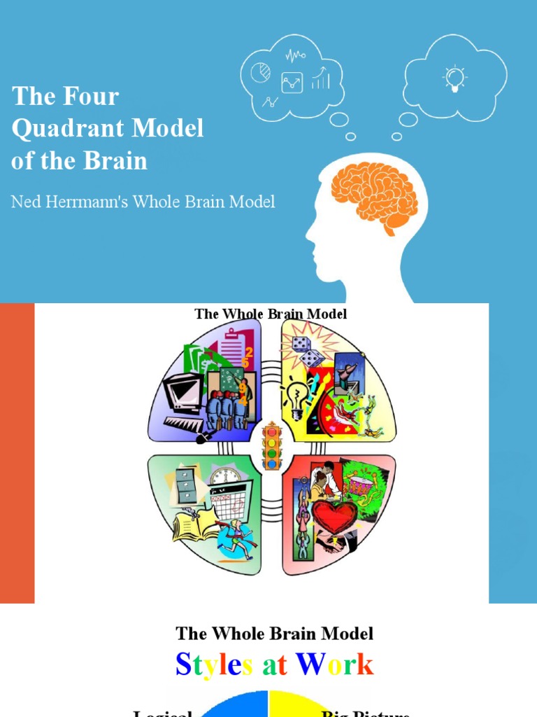 The Four Quadrant Model of the Brain Explained | PDF | Critical ...