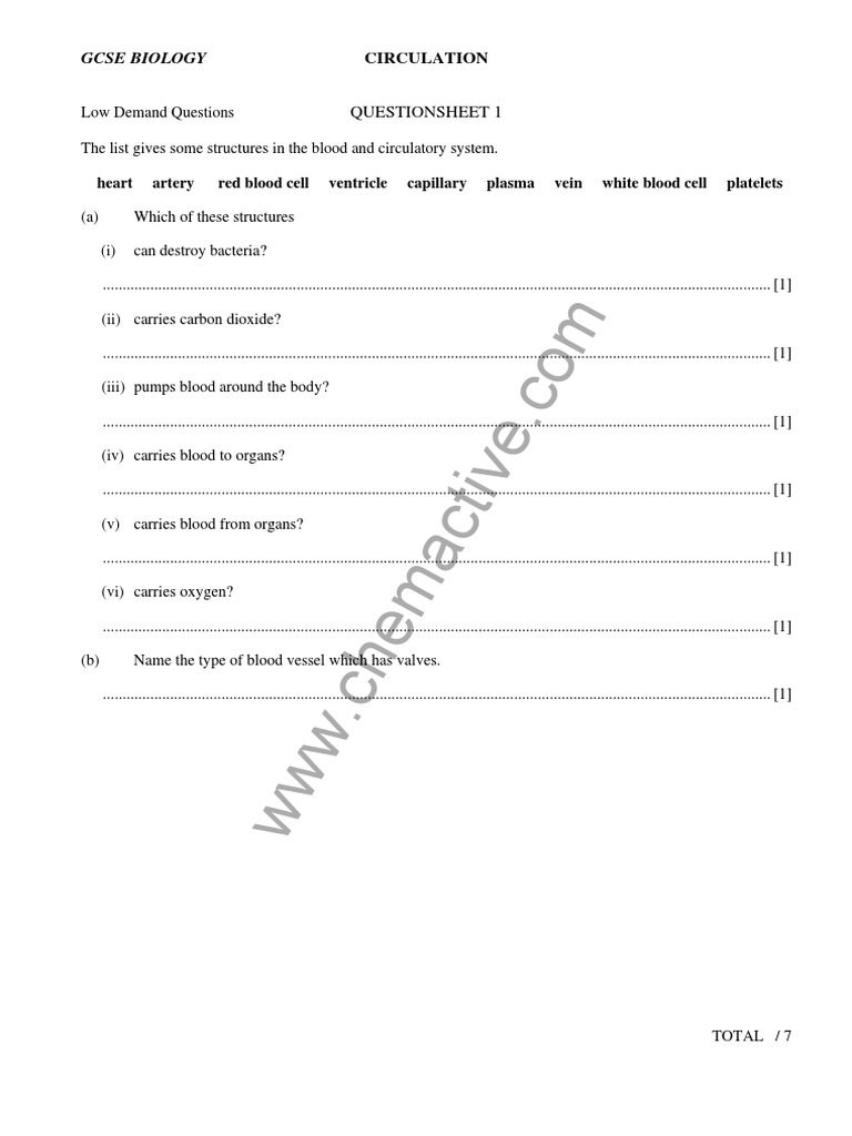 Circulation Questions PDF | PDF | Blood Vessel | Circulatory System