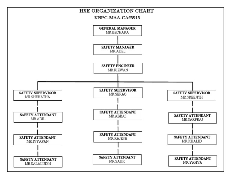 HSE Organization Chart Overview | PDF