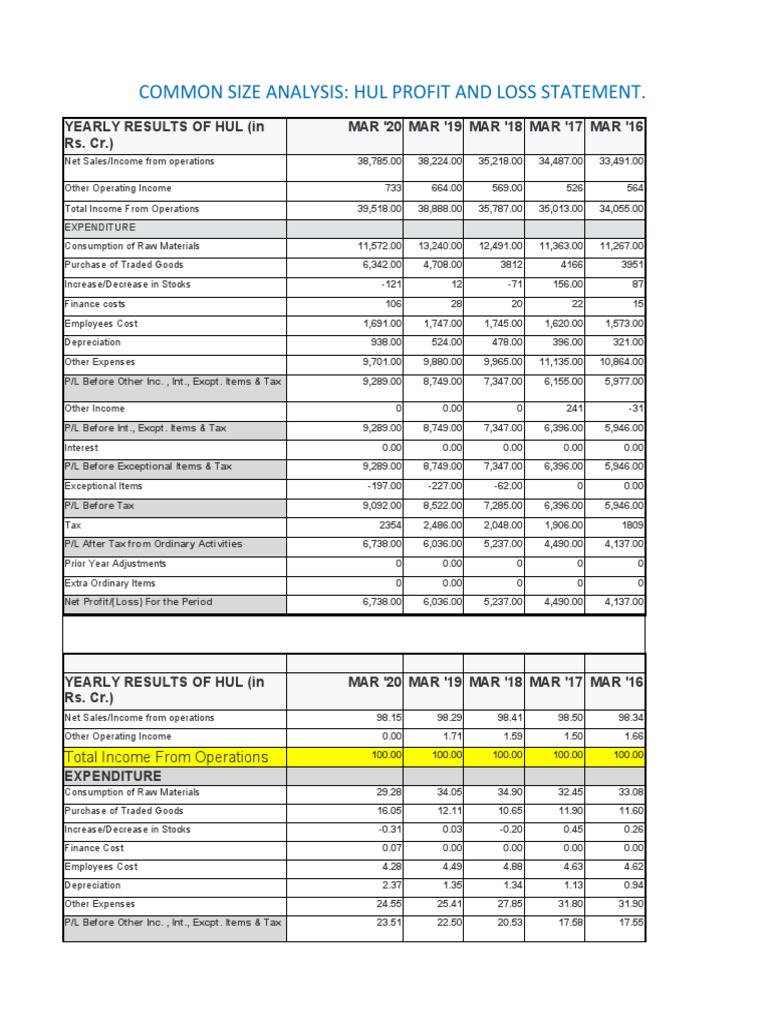 Common Size Analysis: Hul Profit and Loss Statement | PDF | Expense ...