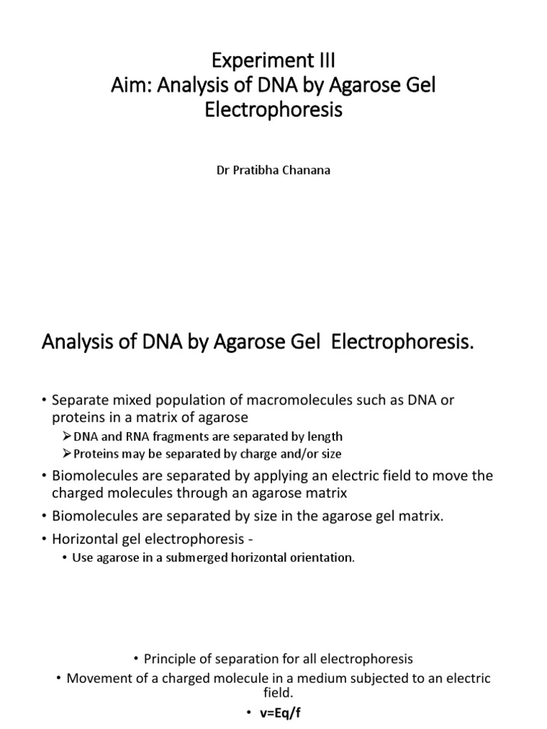 Experiment III Analysis of DNA by Agarose Gel Electrophoresis | PDF ...