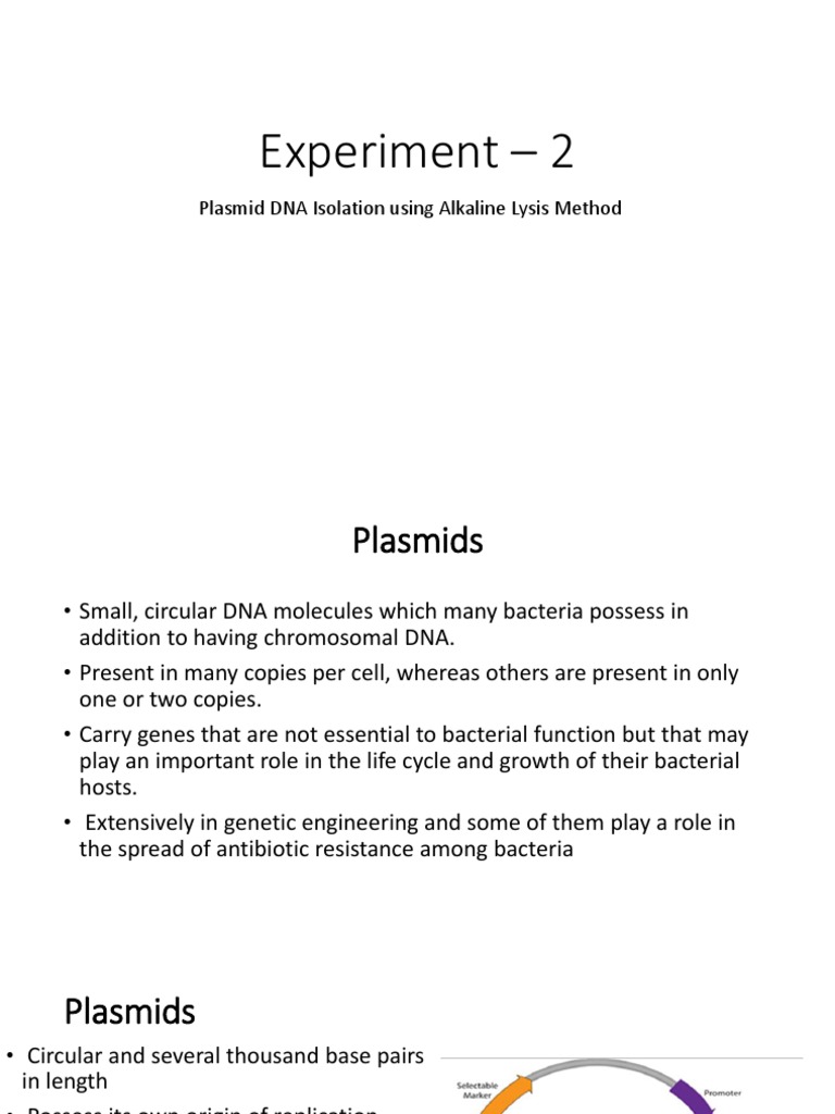 Experiment - 2: Plasmid DNA Isolation Using Alkaline Lysis Method | PDF ...