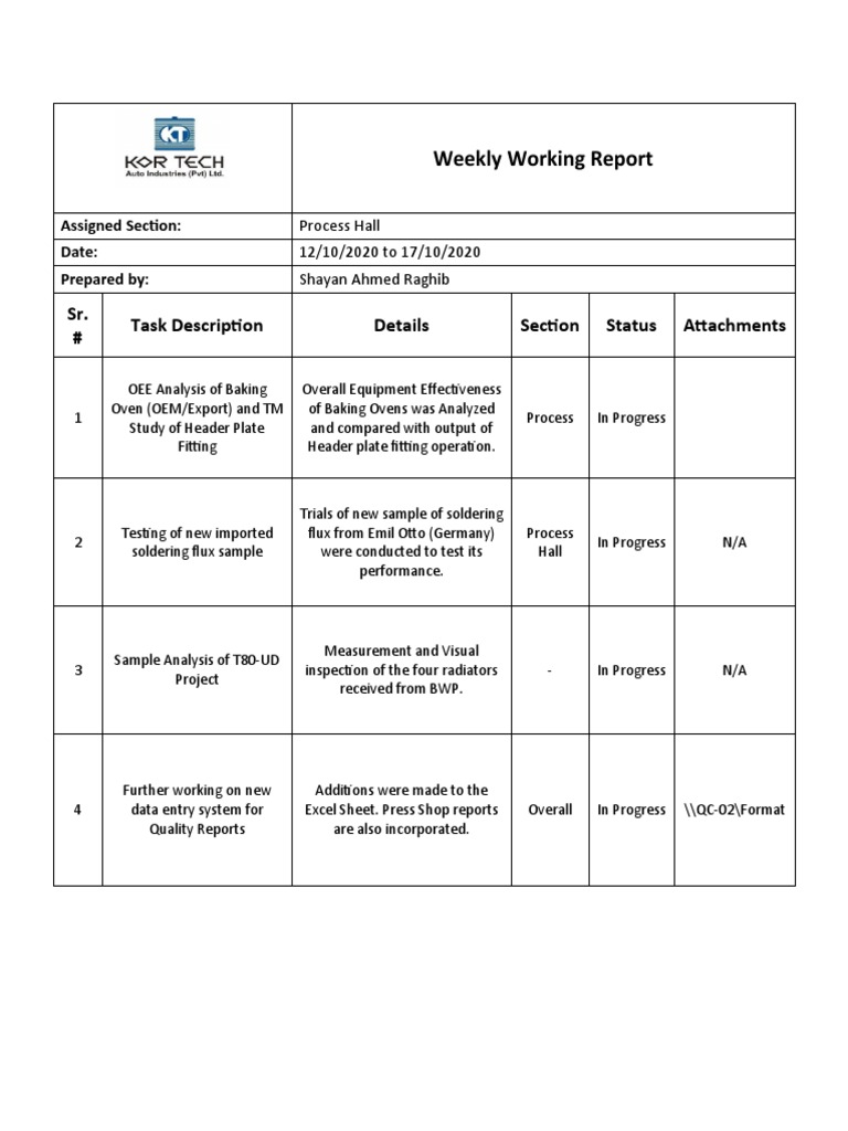 Weekly Working Report (Week 3) | PDF