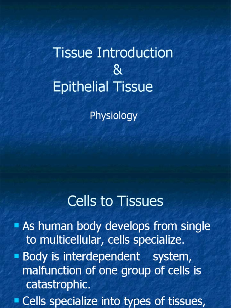 Tissue Introduction & Epithelial Tissue: Physiology | PDF | Epithelium ...