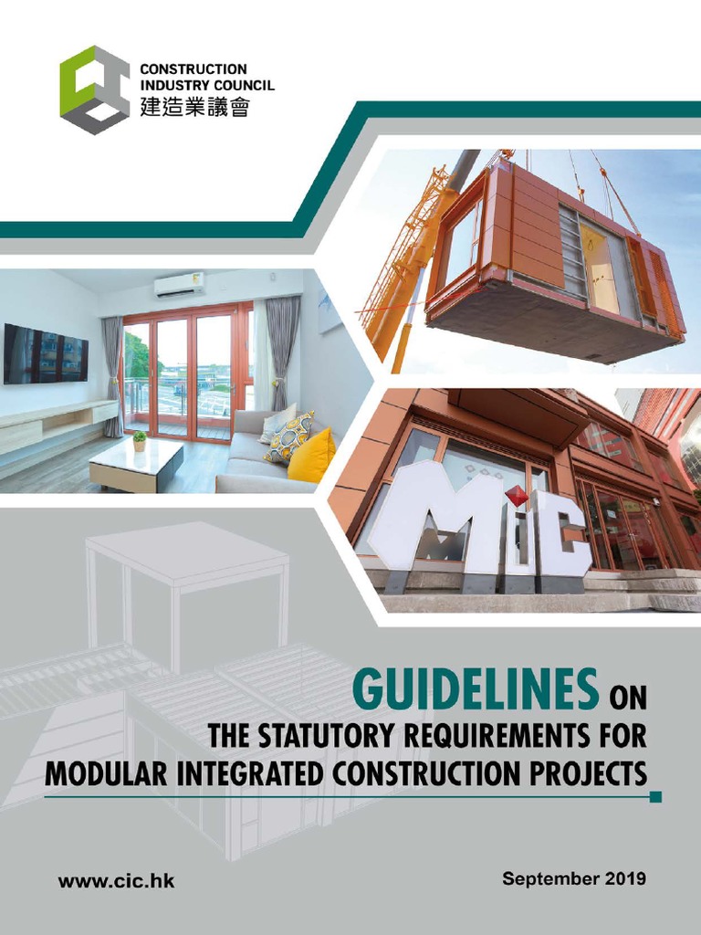 CIC Guidelines | PDF