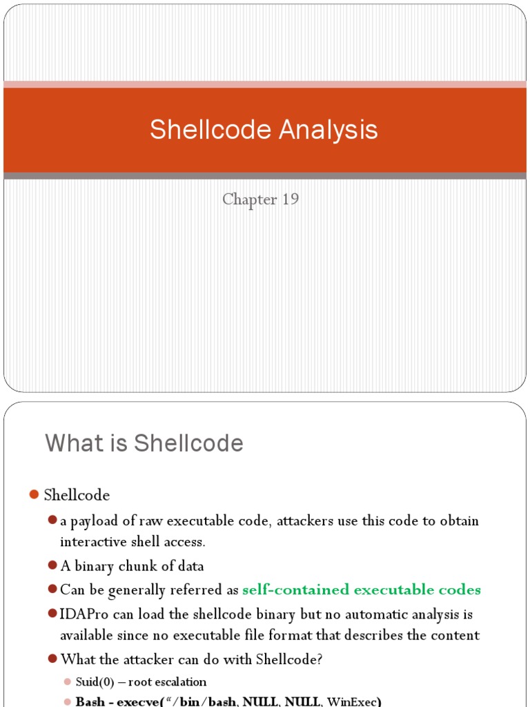 11 2 Shellcode Pdf Computer Programming Computing