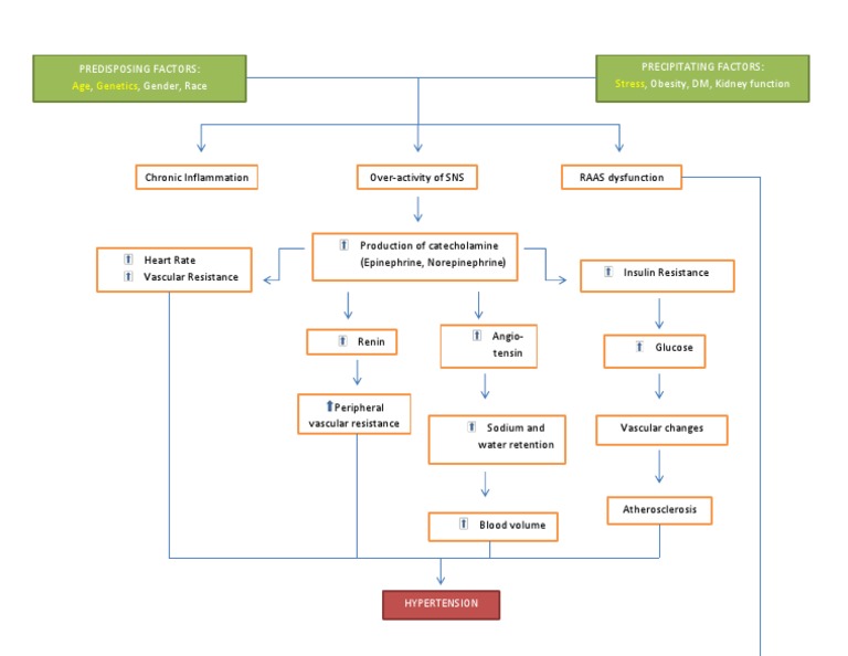 PATHOPHYSIOLOGY OF HypertensioN | PDF
