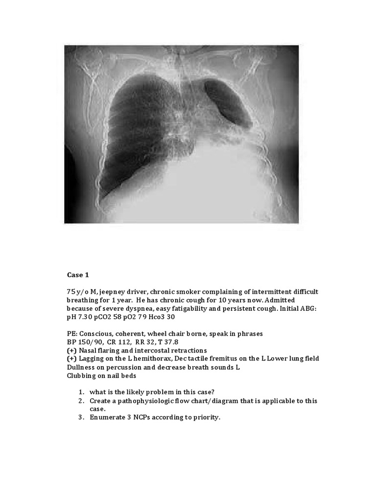 Case Scenario Respiratory System | PDF
