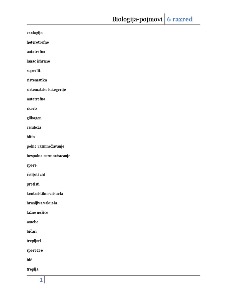 Pojmovi 6-Razred | PDF