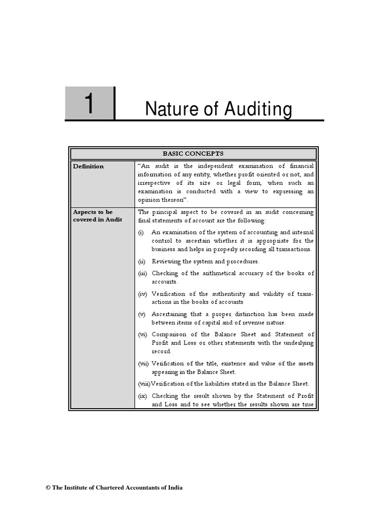 Nature of Auditing: Basic Concepts | PDF | Going Concern | Audit