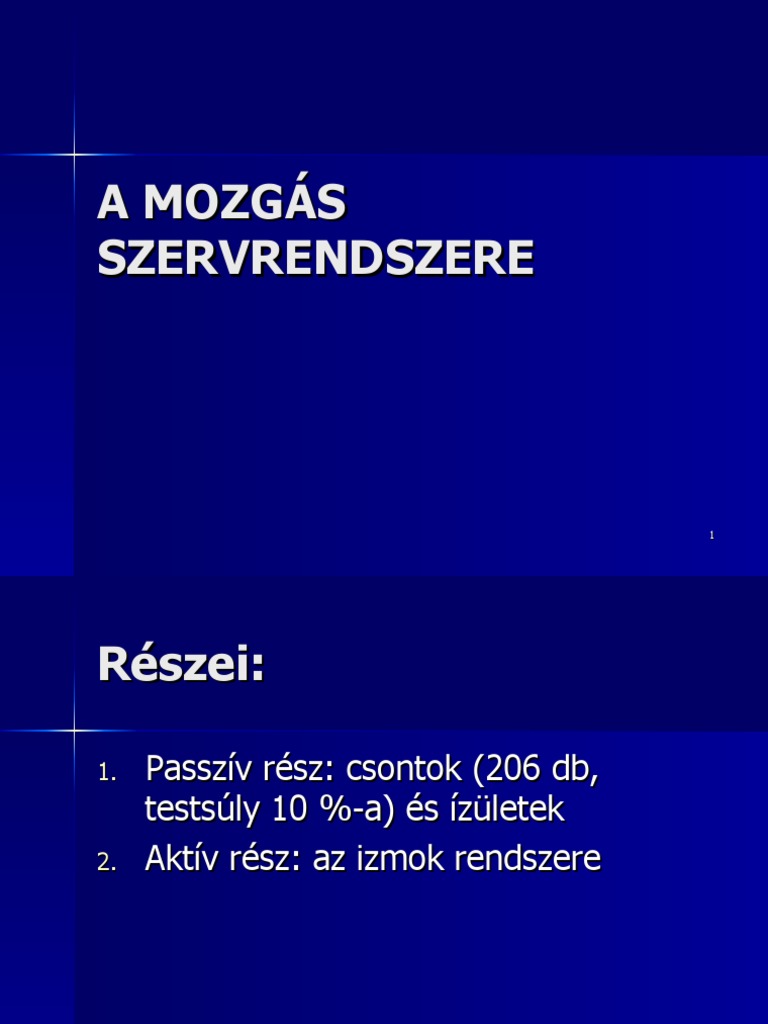 Emberi Test 2 Mozgas Csont Izpm | PDF