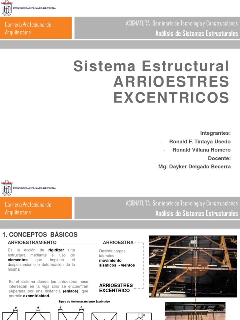 Sistema Estructural, Arrioestres Excentricos | PDF | Naturaleza