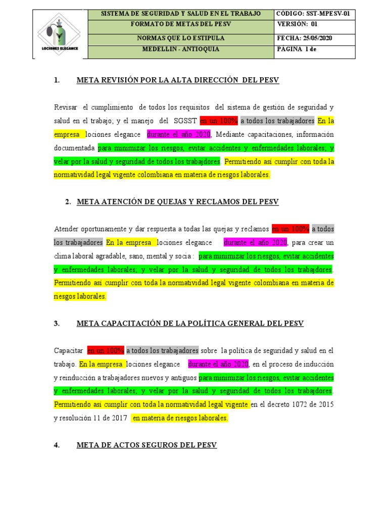 Metas Del Pesv | PDF | Seguridad y salud ocupacional | Bienestar
