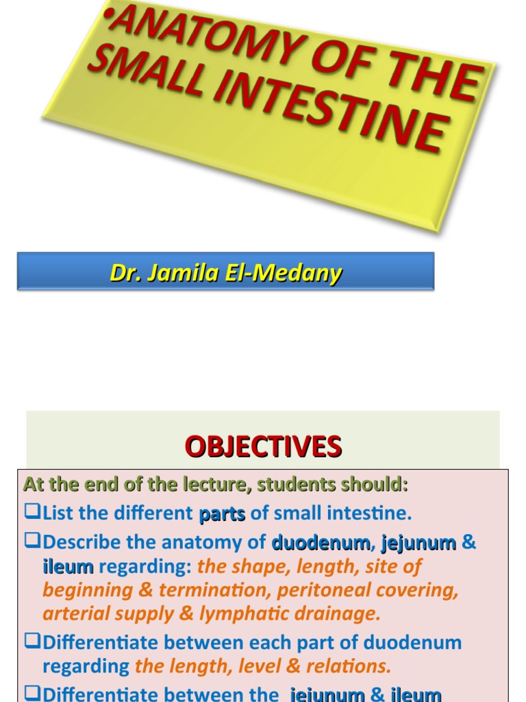5-Anatomy of Small Intestine | PDF | Digestive System | Animal Anatomy