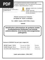 Sporulation et structure des spores bactériennes | PDF | Spore | Biologie