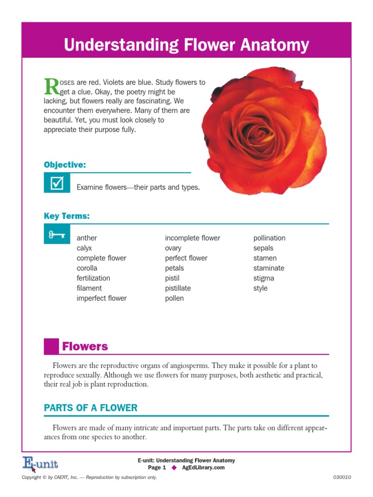 Understanding Flower Anatomy: Flowers | PDF | Flowers | Petal