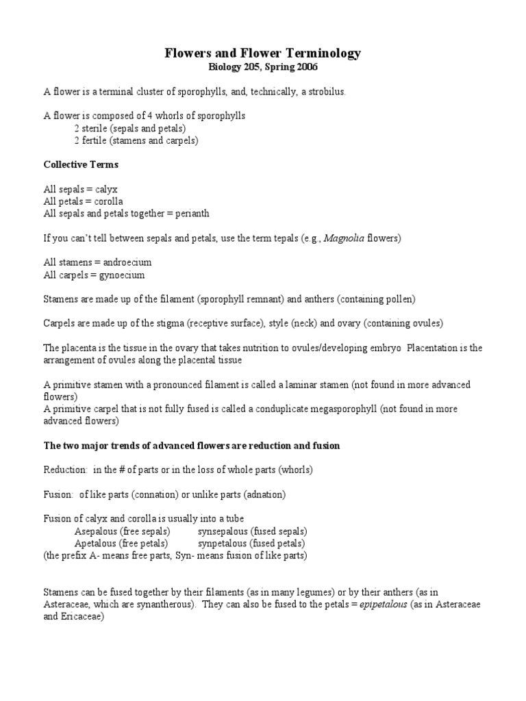 Flowersand Flower Terminology | PDF | Flowers | Horticulture And Gardening