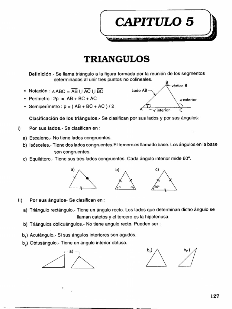 Clasificación Y Propiedades De Triángulos Pdf Formas Geométricas