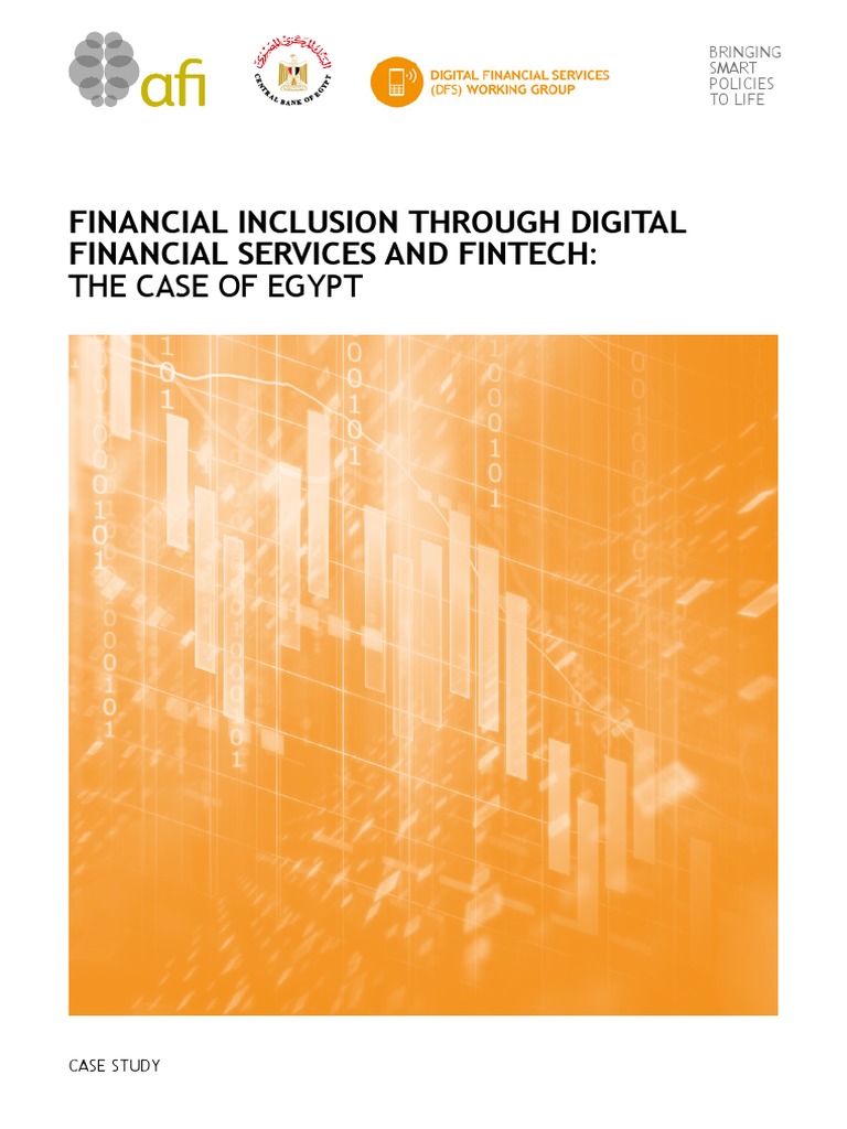 AFI Egypt Report AW Digital | PDF | Money Laundering | Banks