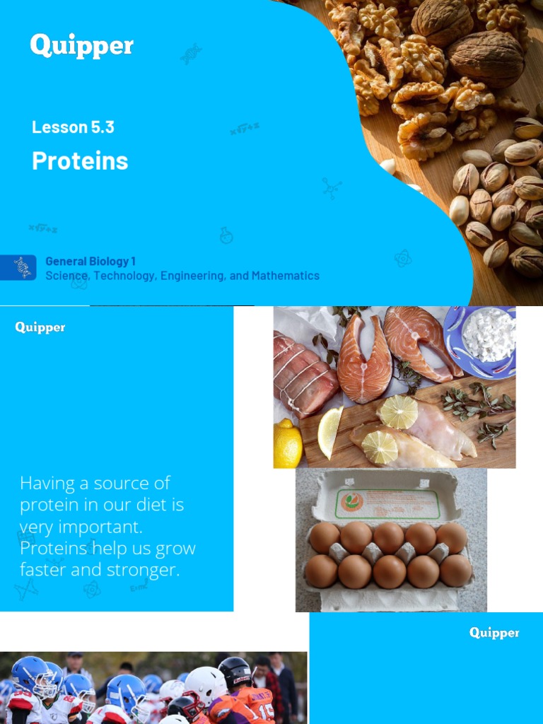 3 Proteins | PDF | Proteins | Amino Acid