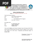 Contoh PAK Penyesuaian | PDF