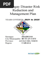 BARANGAY DISASTER RISK REDUCTION & MANAGEMENT (BDRRM) PLAN 2025 | PDF ...