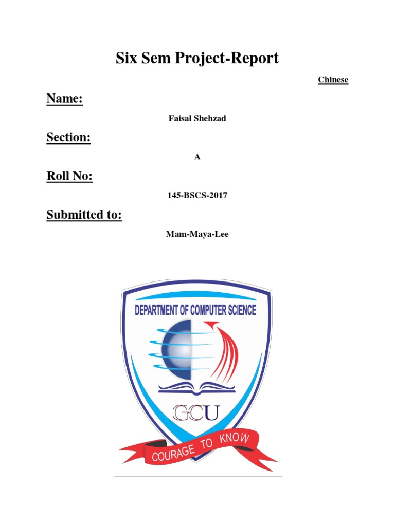 Chinese Final Report | PDF | China | World Politics