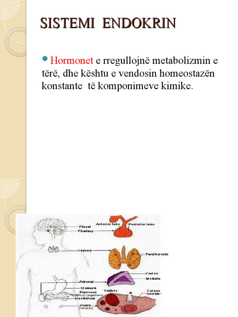 Biokimi 1 | PDF