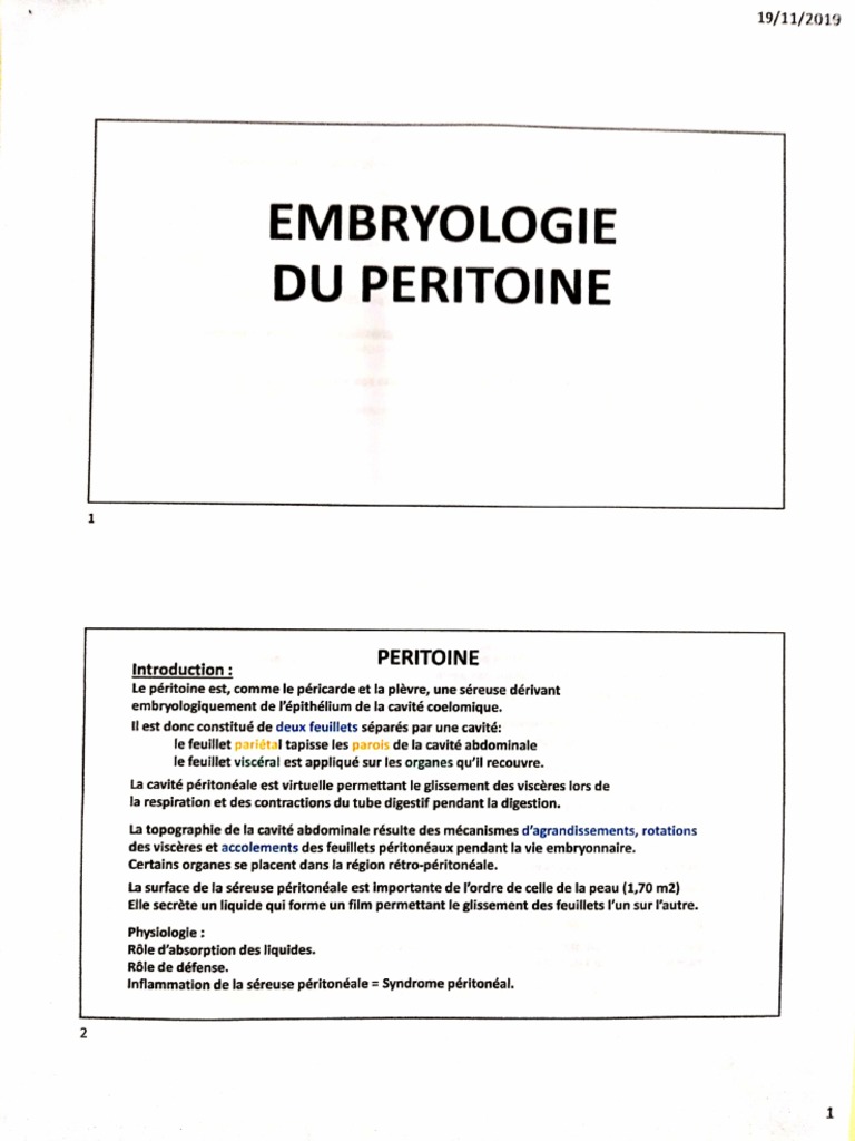 Embryologie de La Péritoine PDF | PDF