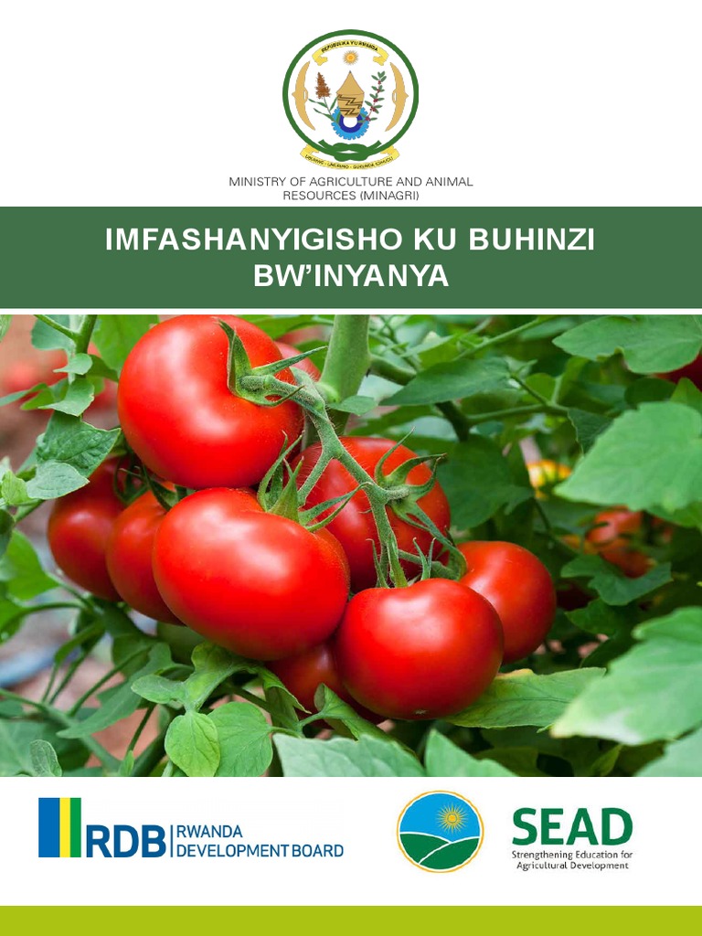 Imfashanyigisho Ku Buhinzi Bw'Inyanya: Ministry of Agriculture and ...