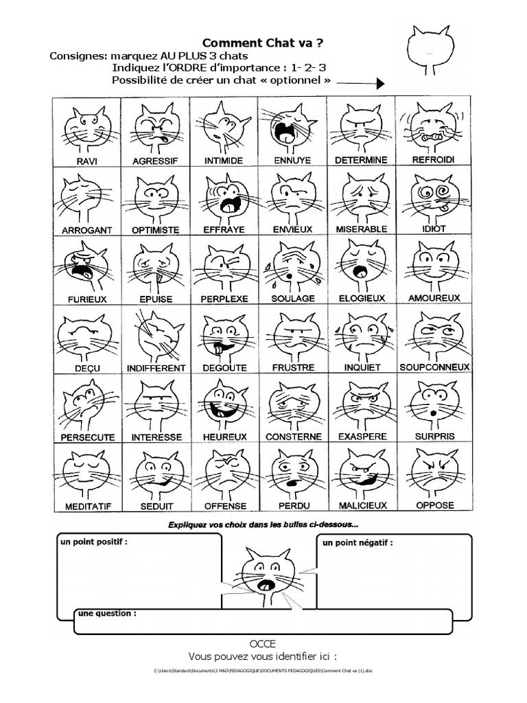 Comment Chat Va PDF | PDF