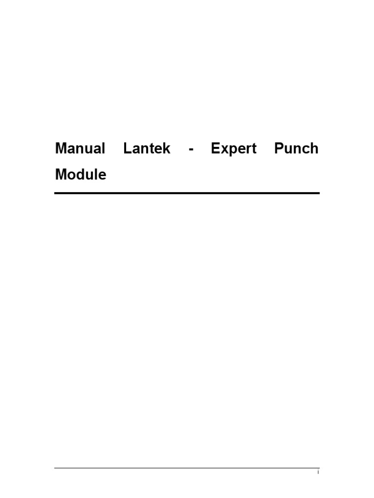Punch Manual | PDF | Sheet Metal | Machining
