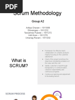 Shu-Ha-Ri: Measuring Agile Adoption Maturity | PDF | Scrum (Software ...