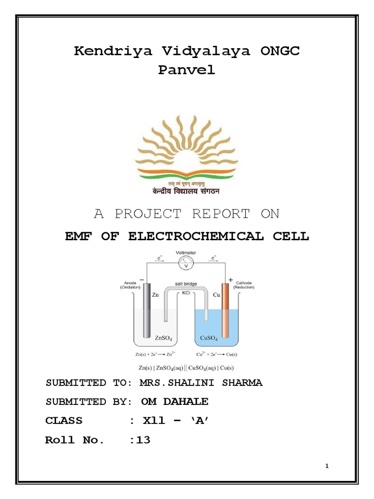 Chemistry Project | PDF | Redox | Electrochemistry