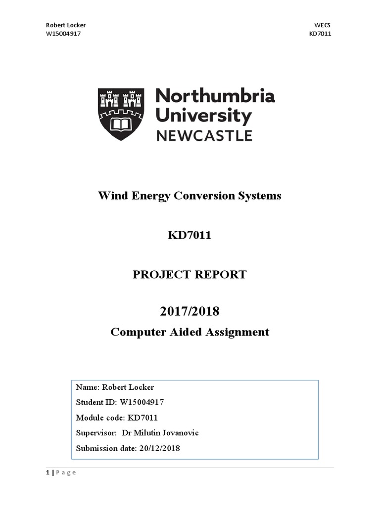 EXAMPLE Final Report | PDF