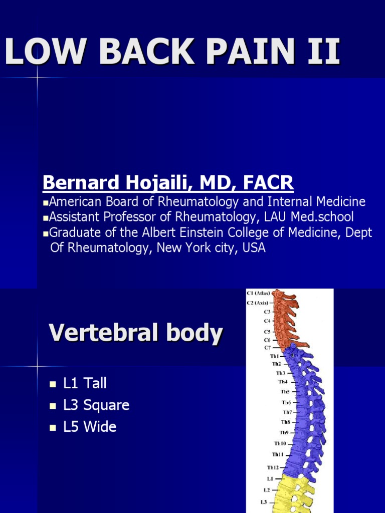 Lower Back Pain 2 | PDF | Musculoskeletal System | Clinical Medicine