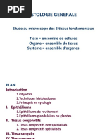 Anatomie de l'Aine et Canal Inguinal | PDF | Péritoine | Vaisseau sanguin