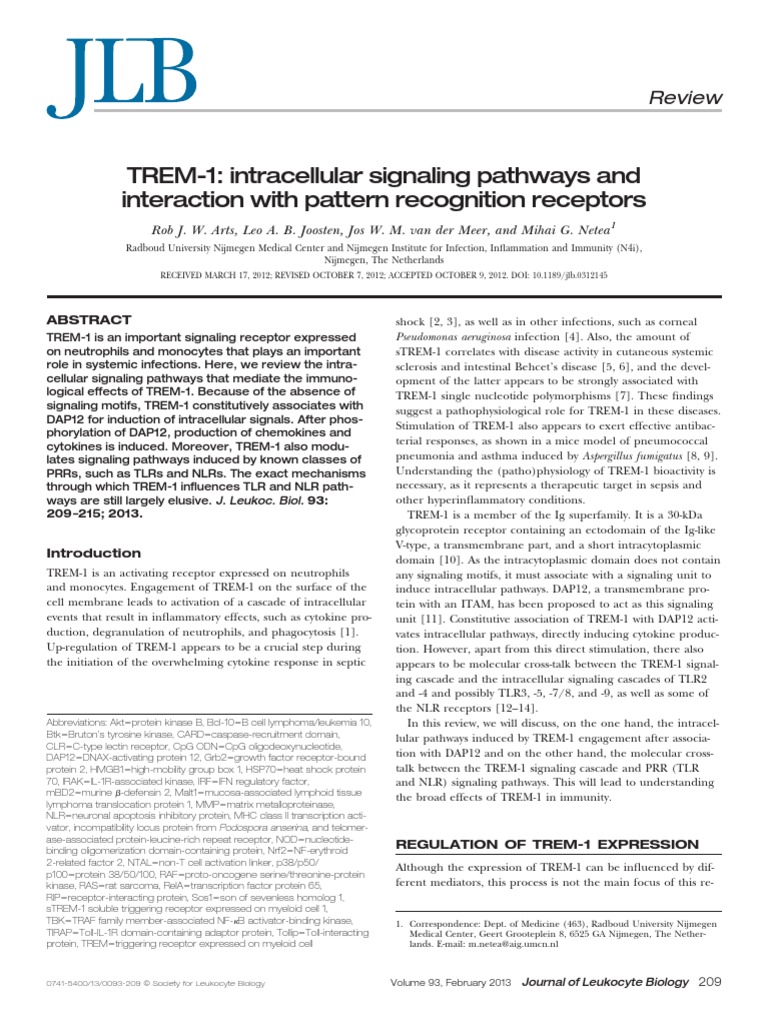 TREM-1: Intracellular Signaling Pathways and Interaction With Pattern ...