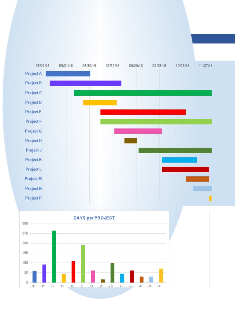 Customer-Facing Project Portfolio Dashboard | PDF | Business
