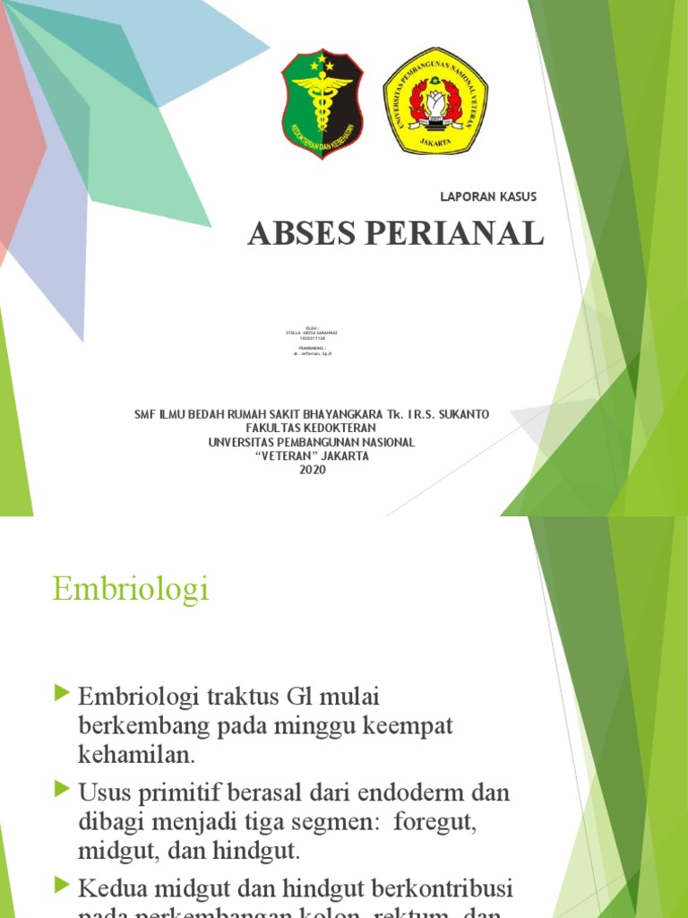 Abses Perianal | PDF