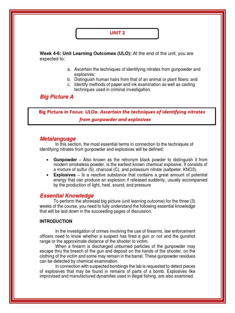 CRI 311L UNIT 2 BIG PICTURE A Converted 1 | PDF | Gunpowder | Nature